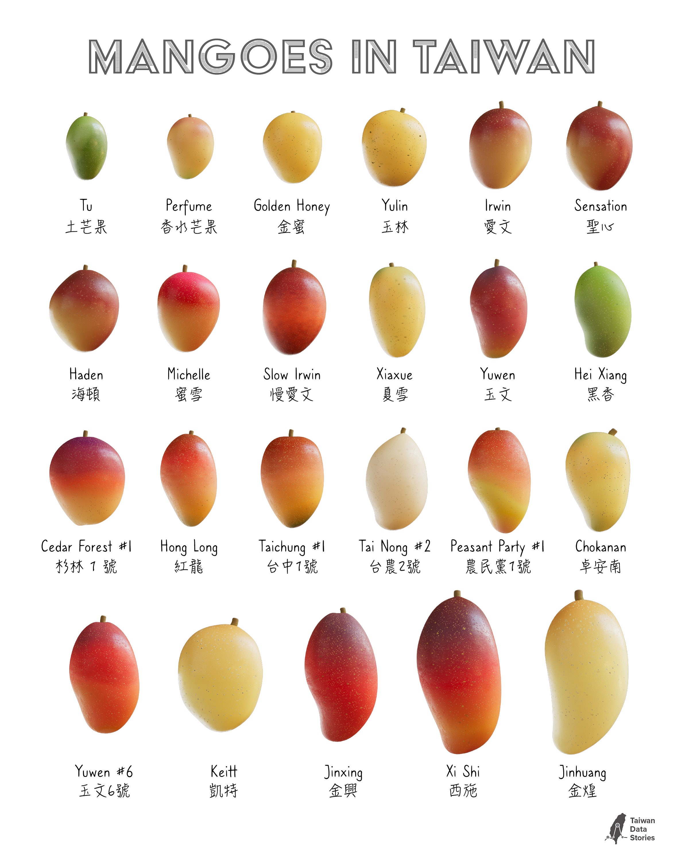 Mangoes in Taiwan Art Print | Yummy Taiwanese Wall Art - Etsy