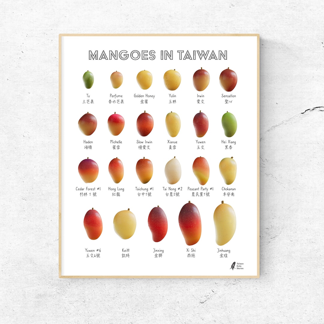 Mangoes in Taiwan Art Print | Yummy Taiwanese Wall Art - Etsy