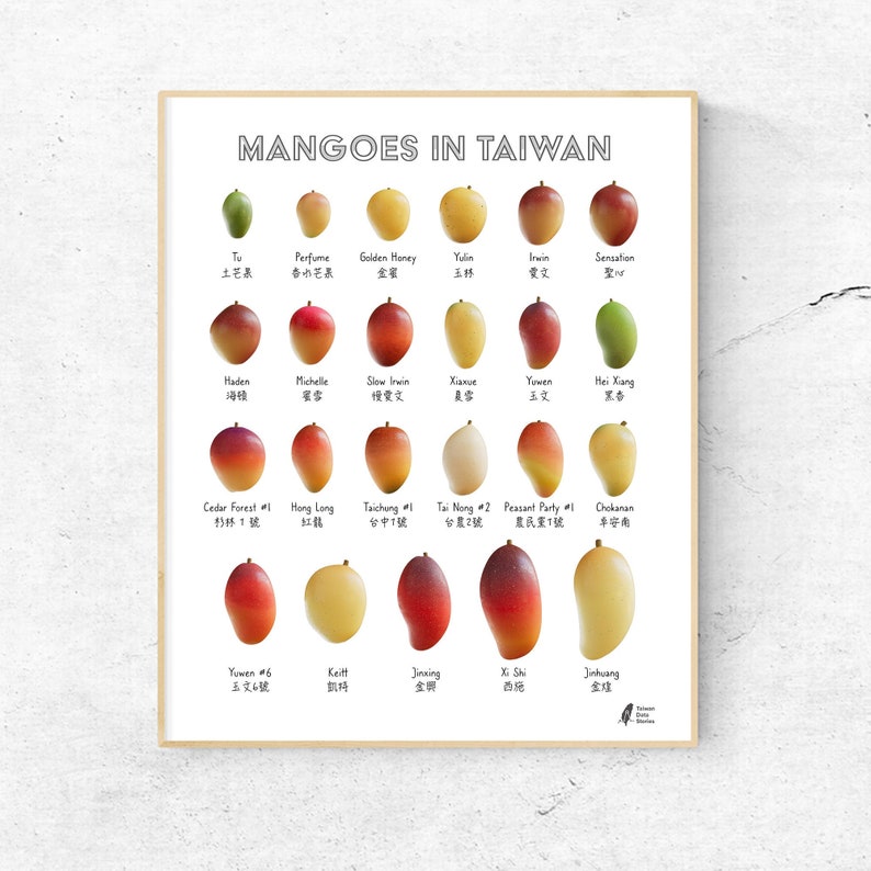 Mangoes in Taiwan Art Print | Yummy Taiwanese Wall Art - Etsy