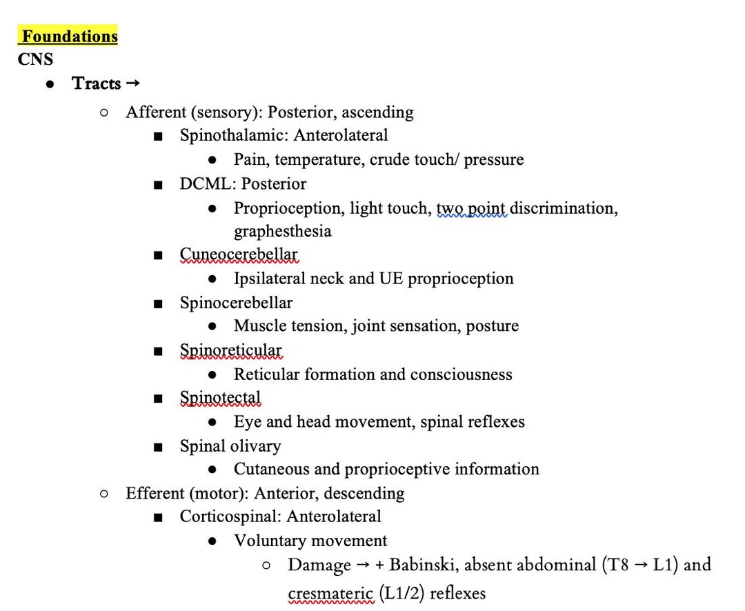 NPTE Neurology Outline - Etsy