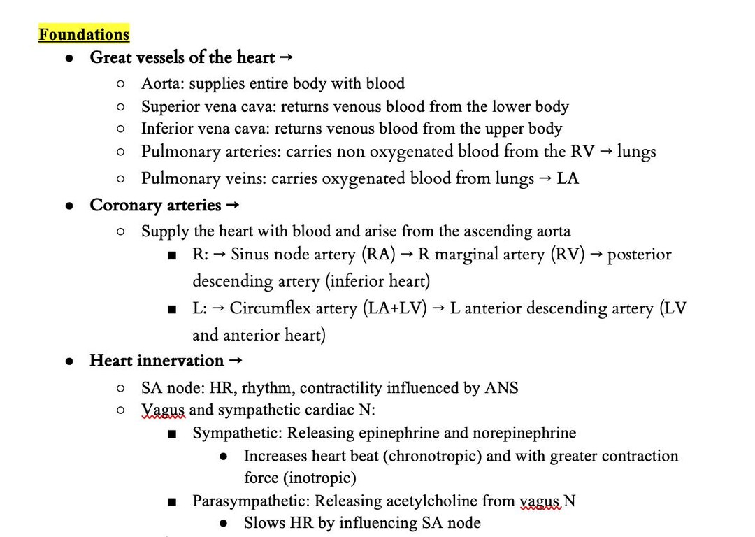 NPTE Cardiopulmonary Outline - Etsy