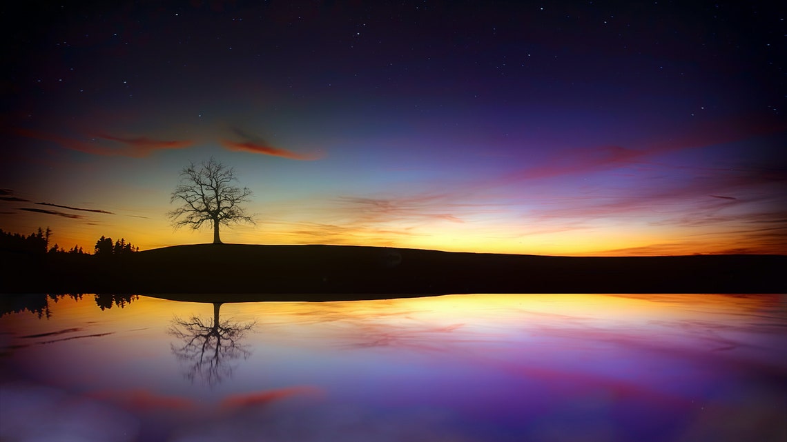 Tree Reflection at First Light Canvas Wall Art Design Poster - Etsy