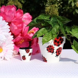 Ladybug Hand-painted Terracotta Pot|indoor Planter|dorm/home Decor ...