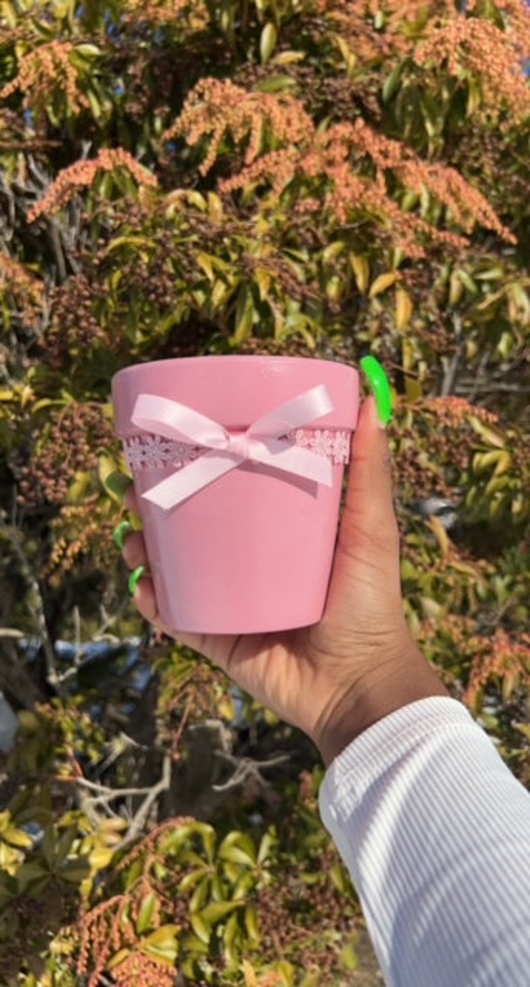 Pink Bow Hand-painted Terracotta Pot|indoor Planter|dorm/home Decor ...