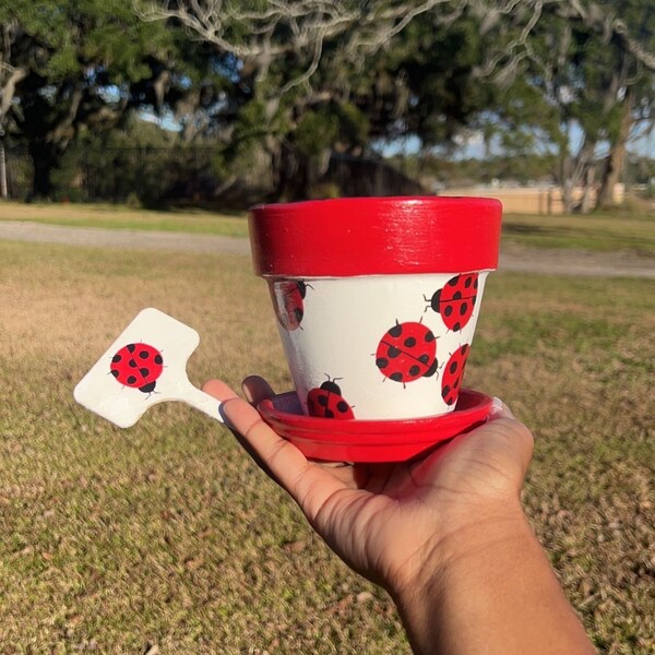Painted Flower Pot - Etsy