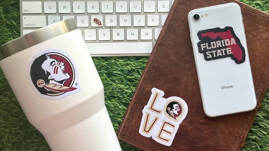 Florida State Stickers (14 Pieces) 2 Car Window (5") + 10 Waterbottle ...