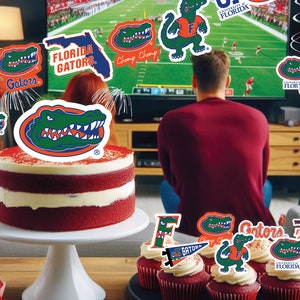 Florida Gators Party Supplies, Birthday Party, Graduation Decorations ...