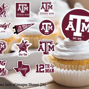 Texas A&M Party Supplies Birthday Party, Texas AM Graduation ...
