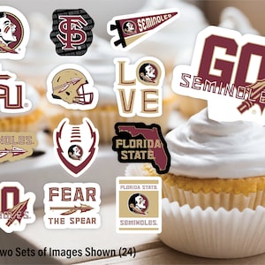 Florida State Seminoles Party Supplies, Birthday Party, Graduation ...