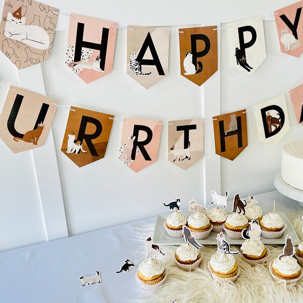 Cat Party Decorations - Etsy