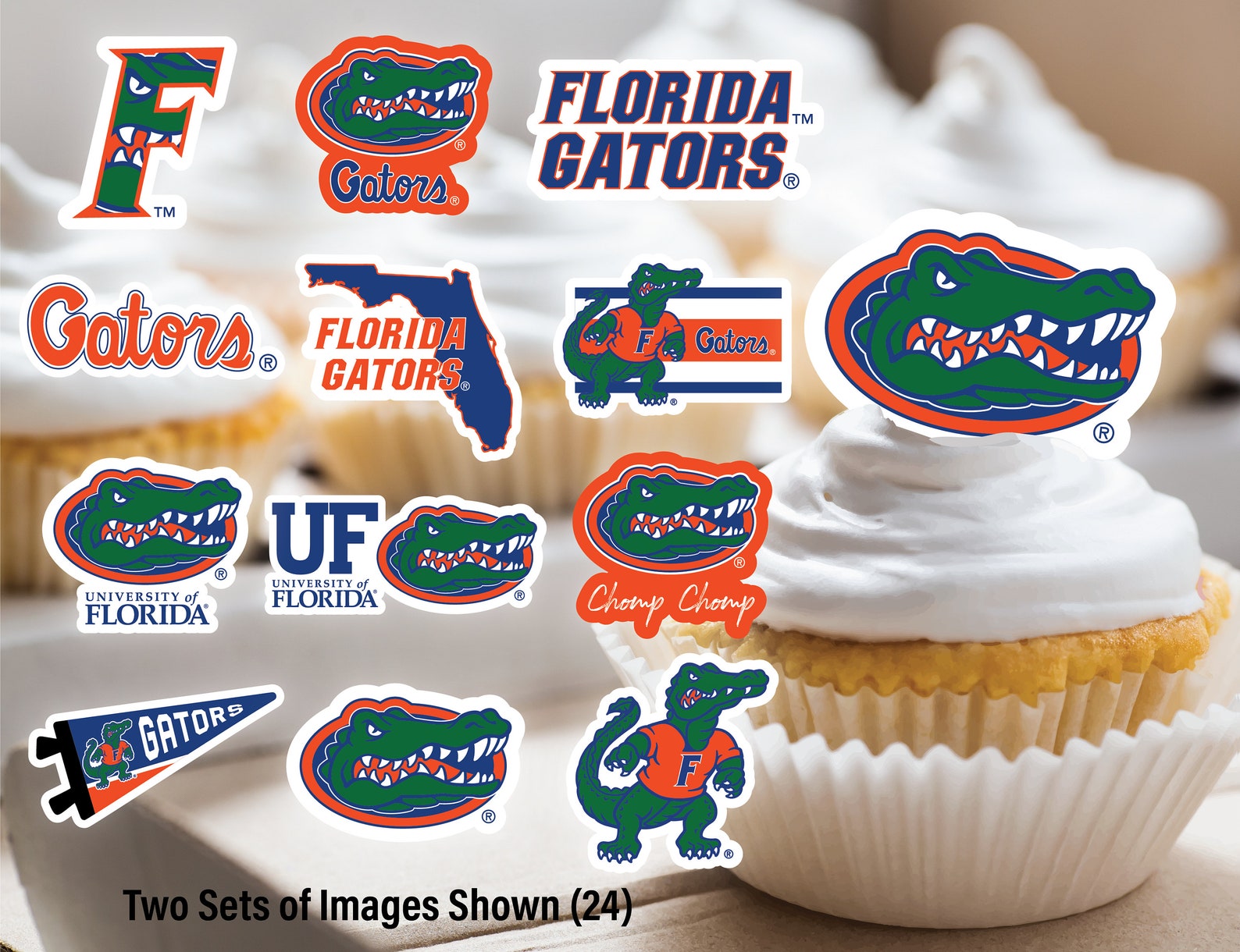 Florida Gators Party Supplies, Birthday Party, Graduation Decorations ...