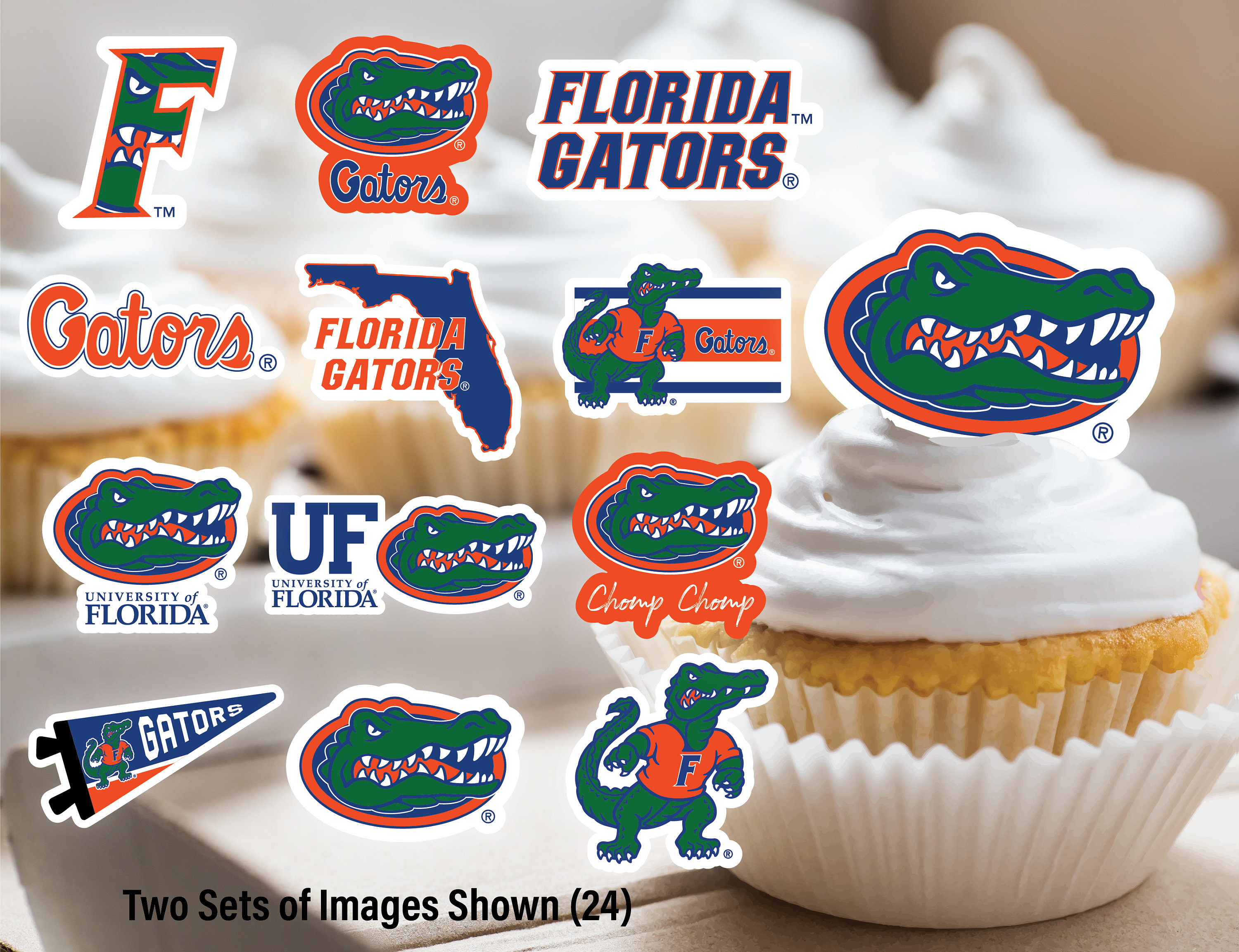 Florida Gators Party Supplies, Birthday Party, Graduation Decorations ...