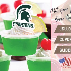 Michigan State Party Supplies Birthday Party, Michigan State Graduation ...