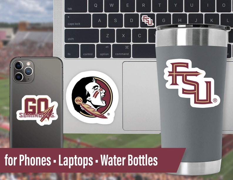 Florida State Stickers (14 Pieces) 2 Car Window (5