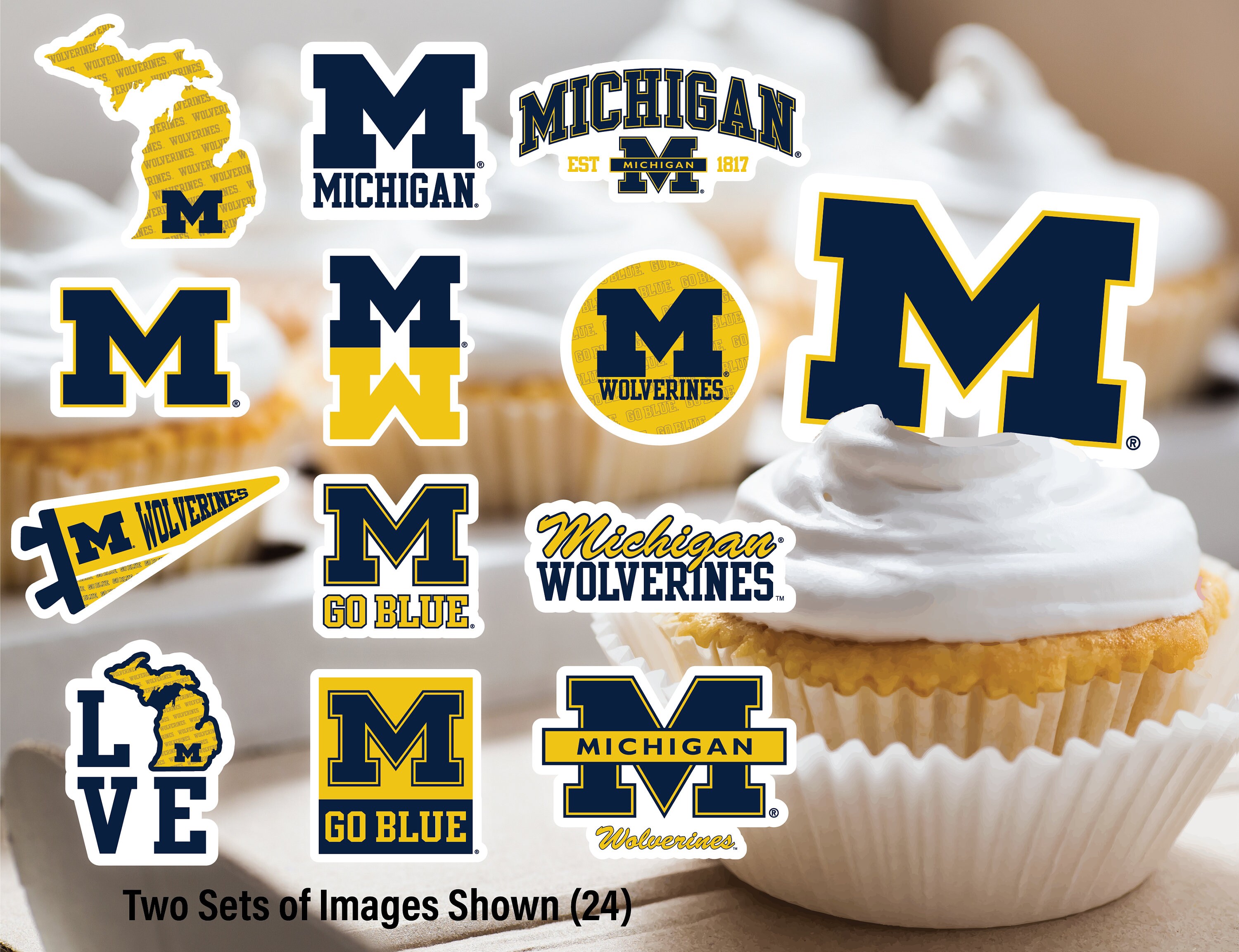 Michigan Wolverines Party Supplies, Birthday, Graduation Decorations ...