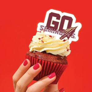 Florida State Seminoles Party Supplies, Birthday Party, Graduation ...