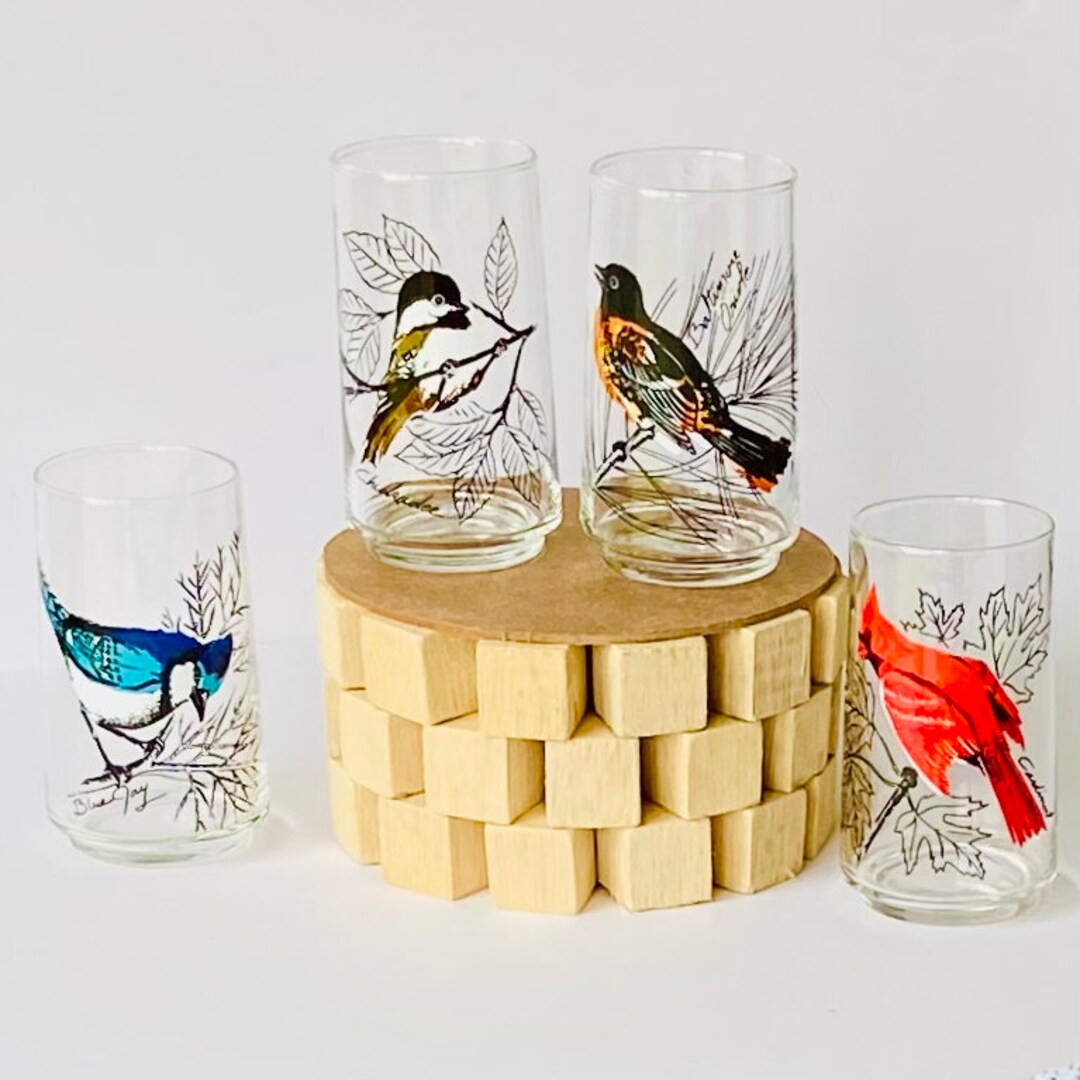 Bird Drinking Glass Set 4 Colorful Vintage Bird Tumblers Bird Lovers ...