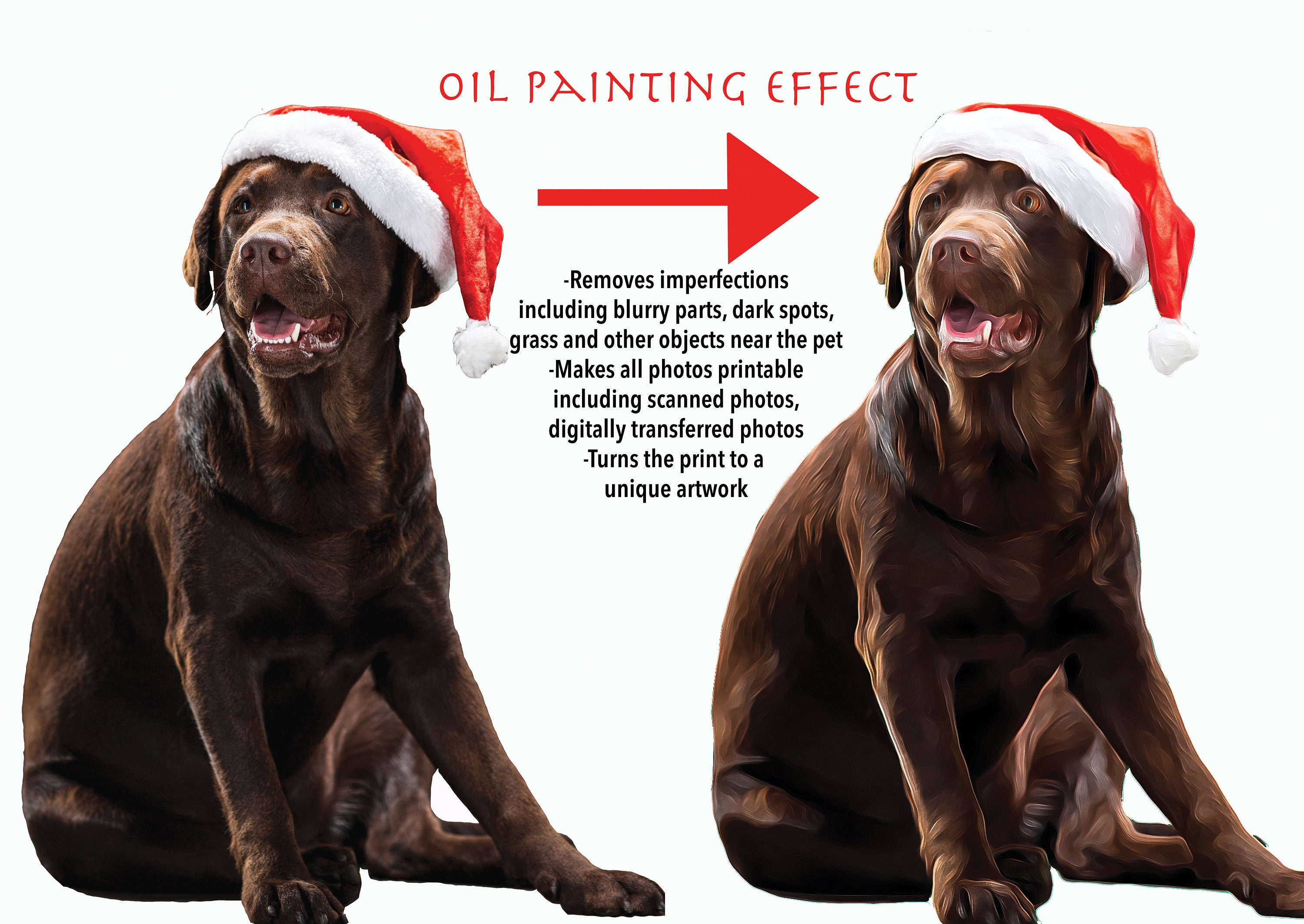 Custom Dog Face Blankets Personalized Pet Photo Blanket - Etsy