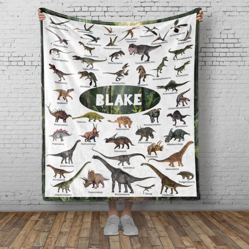 Personalized Dinosaur Blanket With Custom Name, Gentle Super Soft Kids ...
