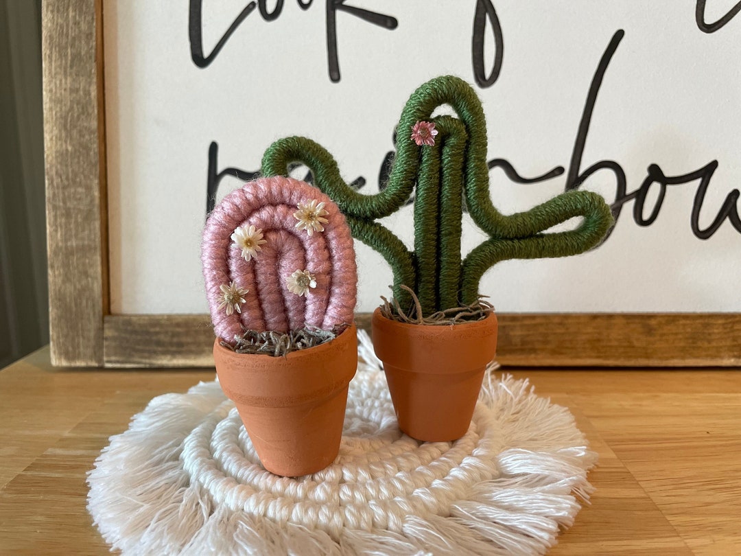 Macrame Cactus Minis, Mini Macrame Plant, Macrame Succulent, Small ...