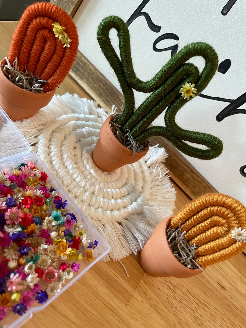 Macrame Cactus Minis, Mini Macrame Plant, Macrame Succulent, Small ...