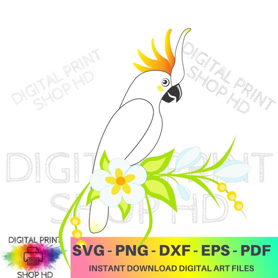 Cockatoo Svg File Cockatoo Cut File Animal Face Australia - Etsy