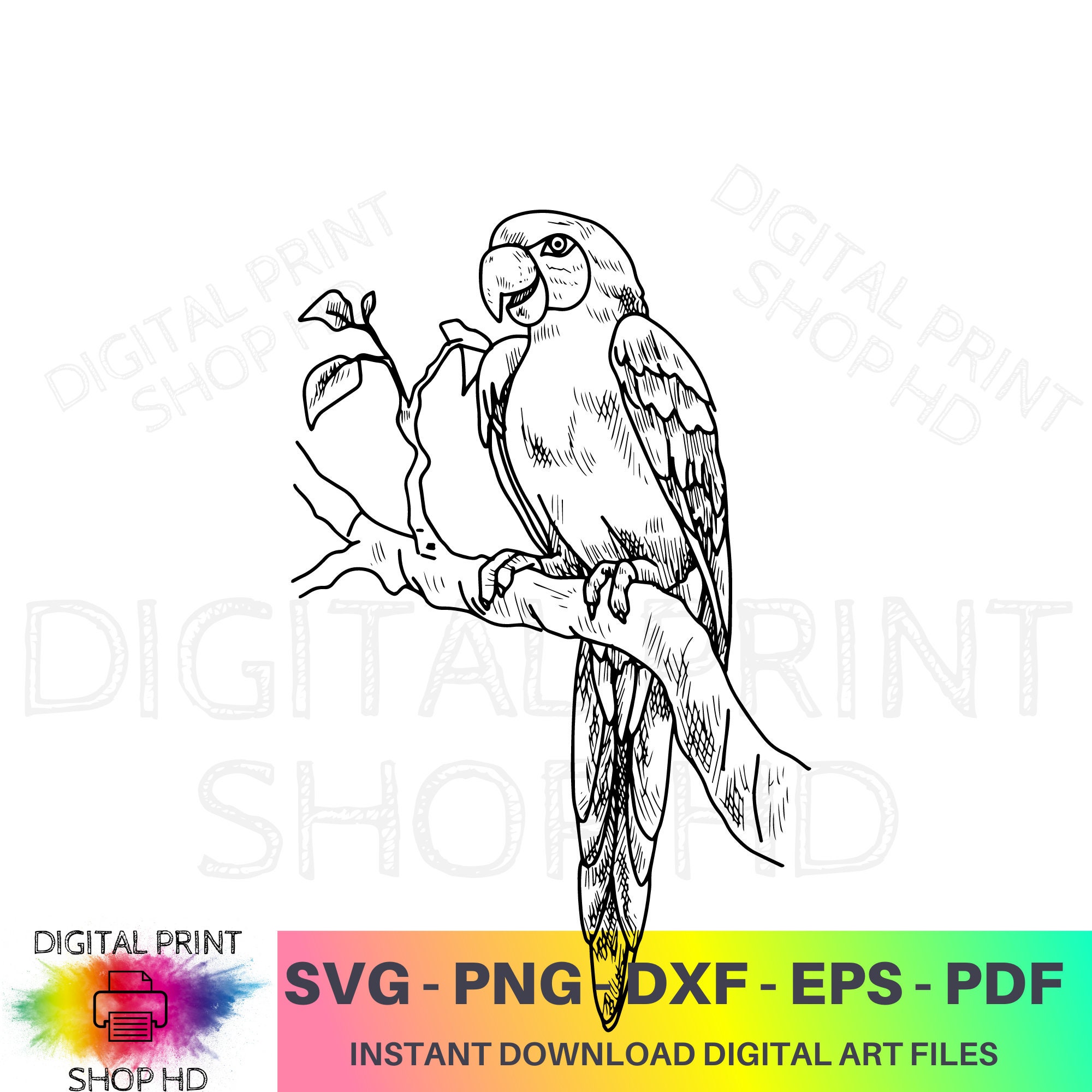 Parrot Svg, Parrot Clipart, Parrot Files for Cricut, Parrot Cut Files ...