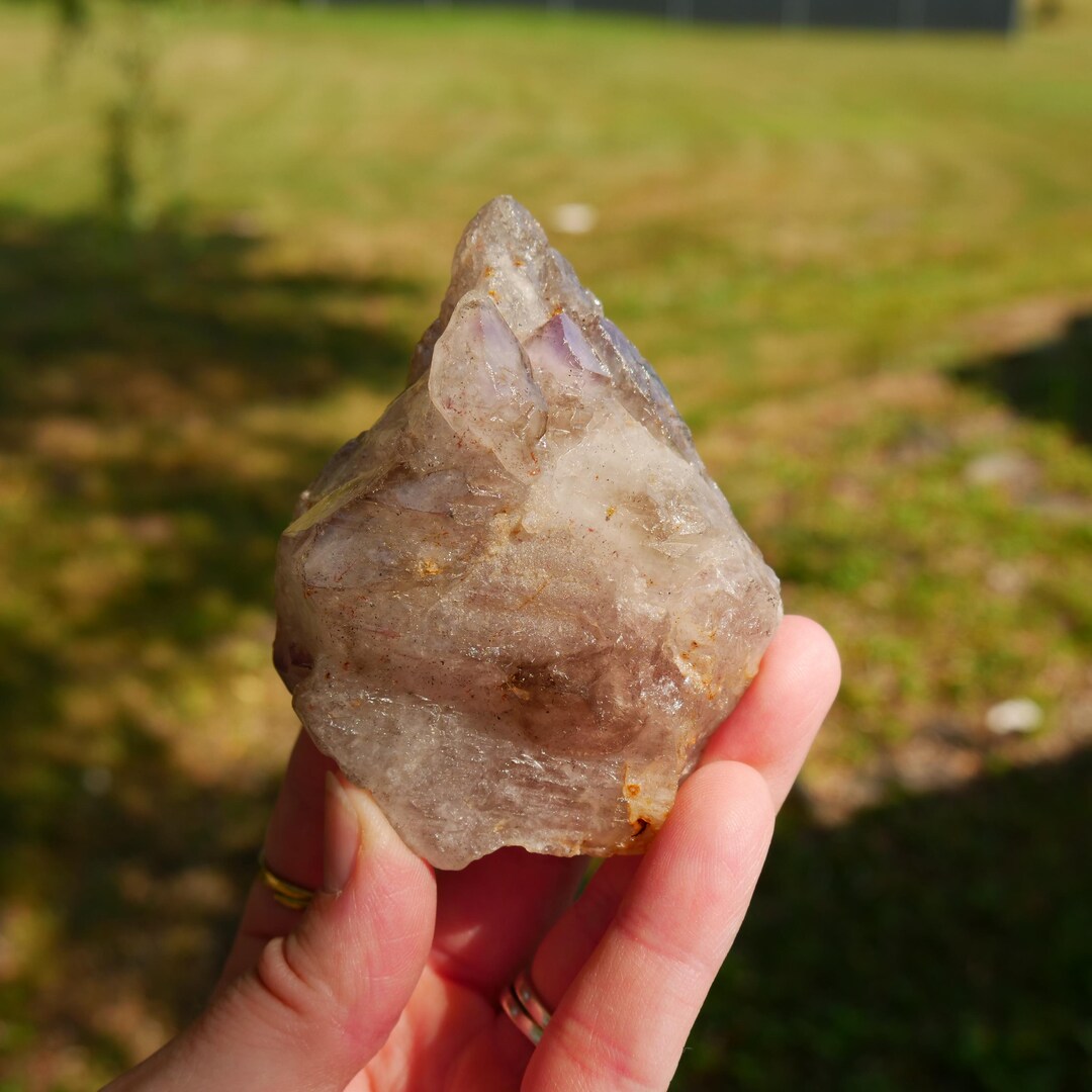 3.25" Smoky Amethyst Elestial Quartz Crystal: Jacare Fenster Alligator ...
