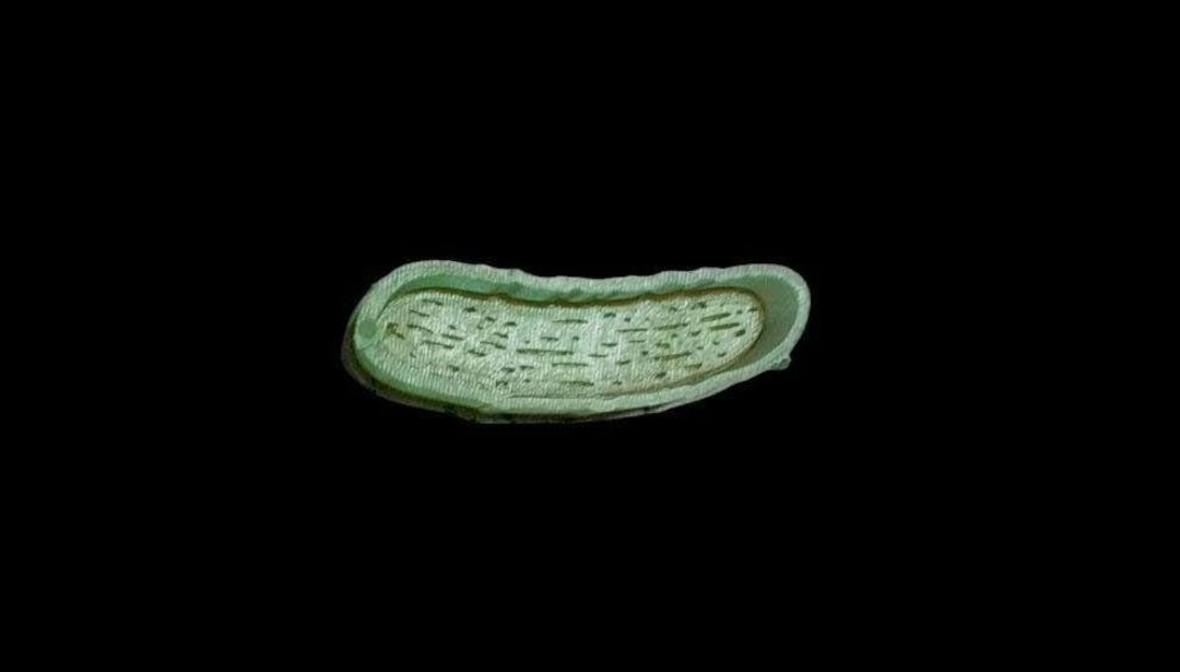 Small Pickle Mold for Freshie Mold for Soap Making, Wax Melt Mold ...