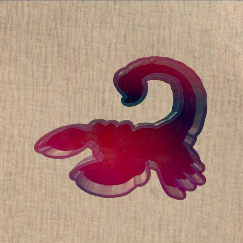 Clay Scorpion - Etsy