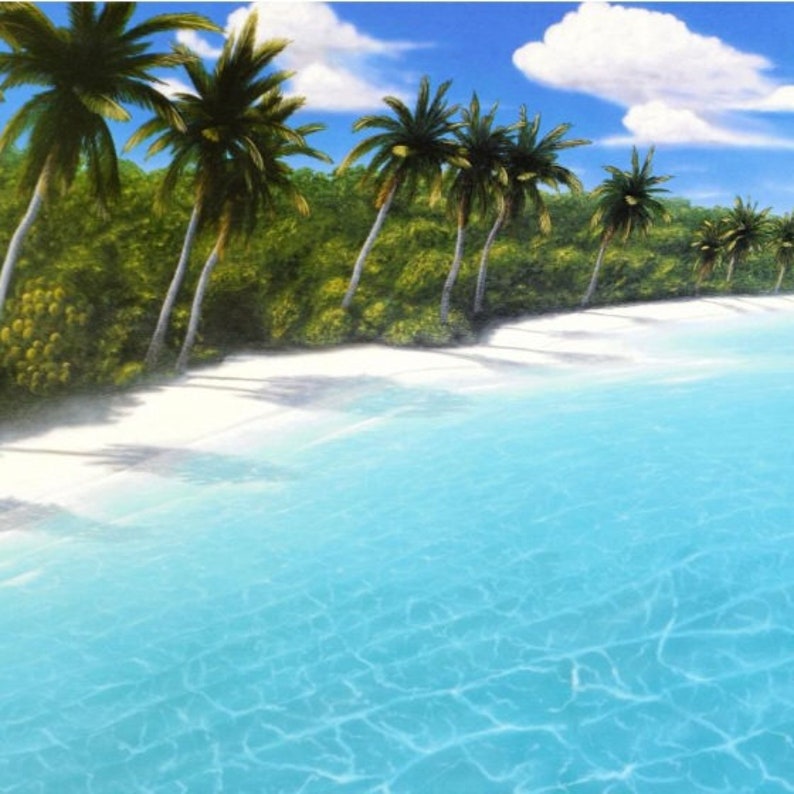 Dan Mackin Hand Signed Limited Edition Rare Sold Out Endless Beaches ...