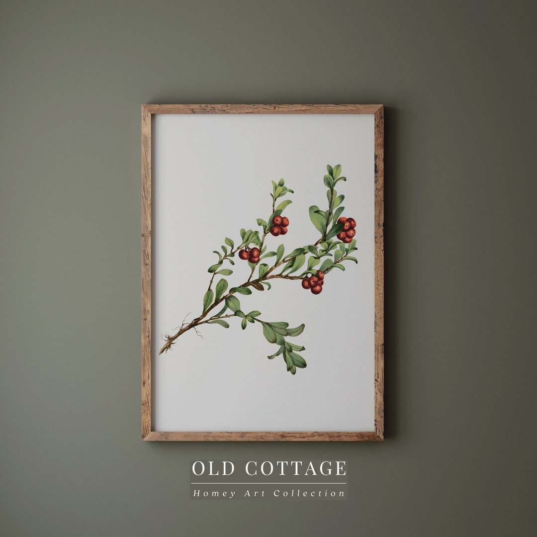 Holly Berry Painting Holly Berries Painting Winter Berries Painting ...
