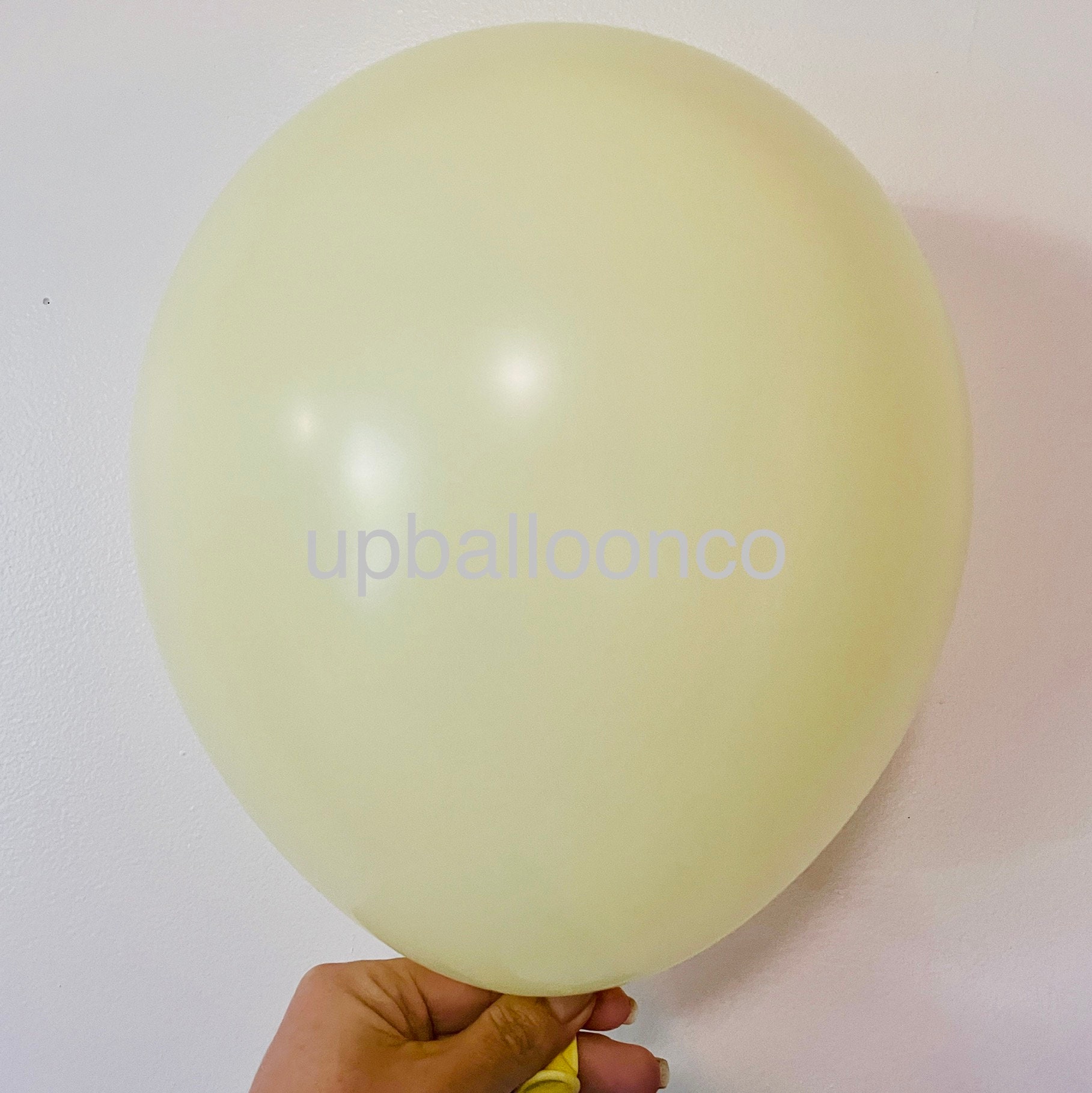 Matte Pastel Individual Balloons | 11" High Quality, Biodegradable ...