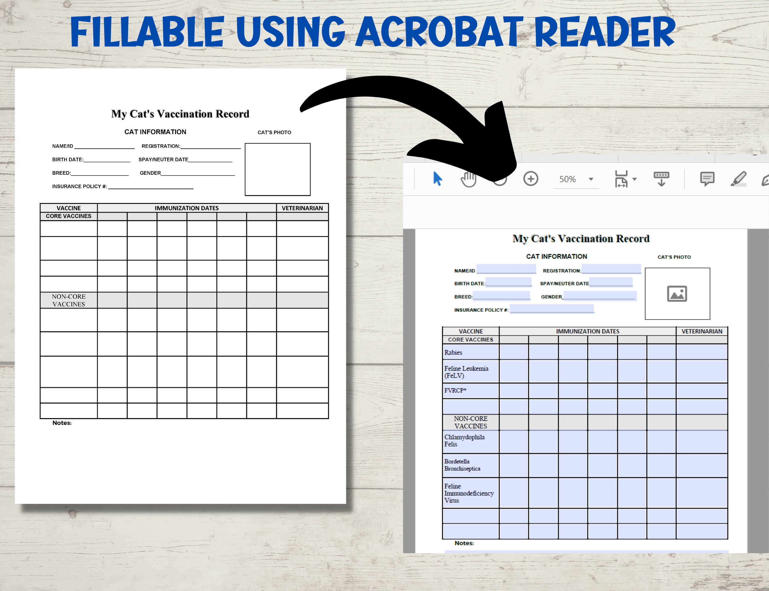 Cat Vaccination Record, Cat Health Record, Cat Shot Record, Pet Health ...