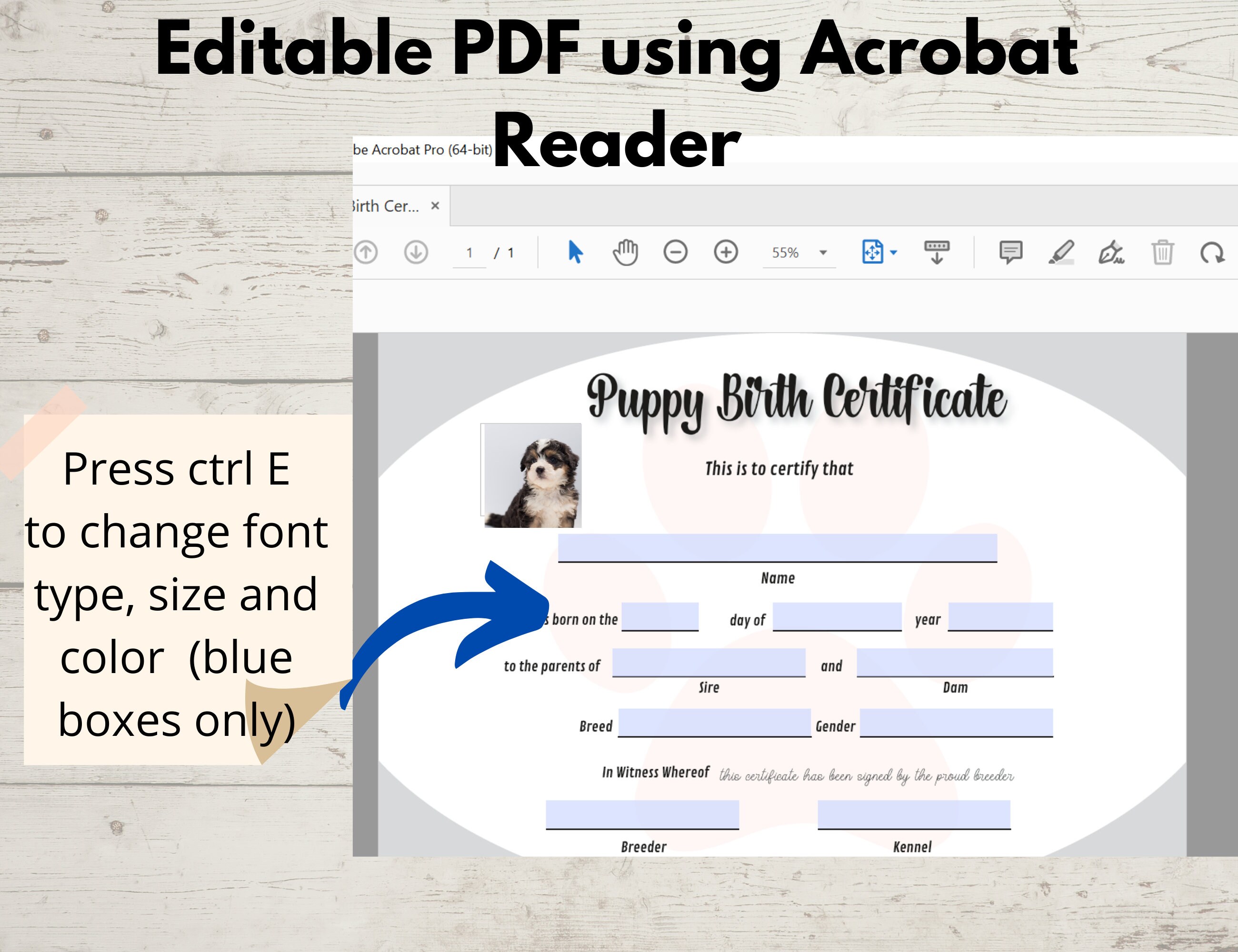 Breeder Forms Bundle, Whelping Records and Puppy Pack Included, Instant ...