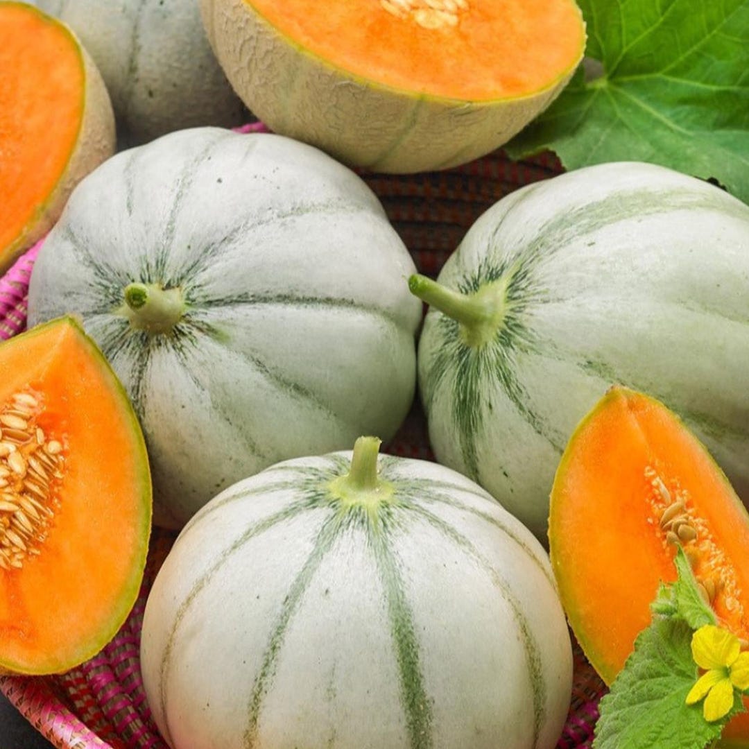 50 Seeds - Charentais Melon, Sweet French Heirloom Cantaloupe Seeds ...