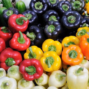 30+ Rainbow Bell Pepper Seeds | Colorful Mix of Red, Orange, Yellow ...
