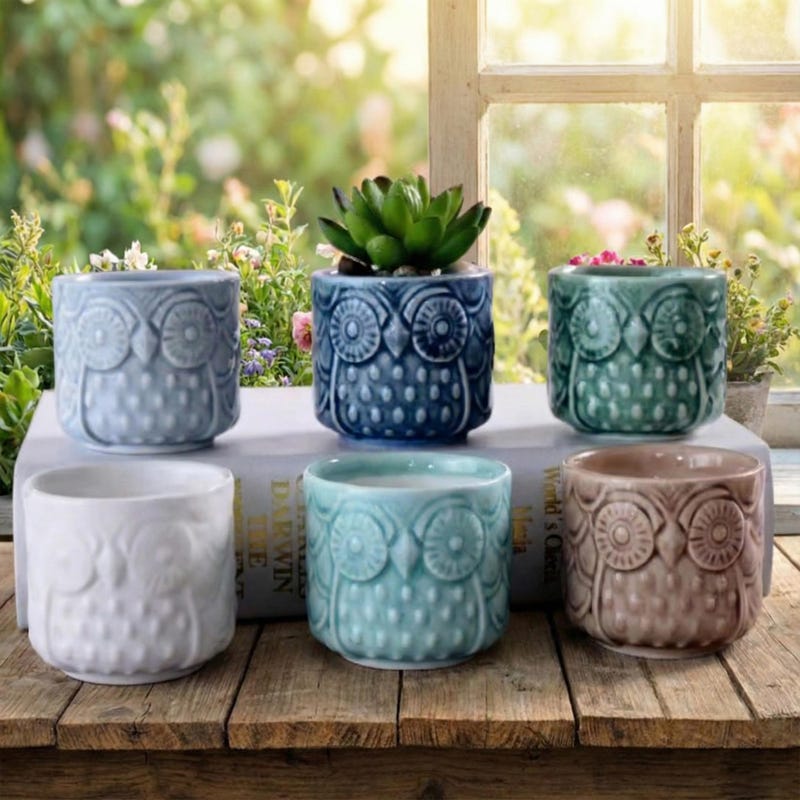 Owl Flower Pot - Etsy