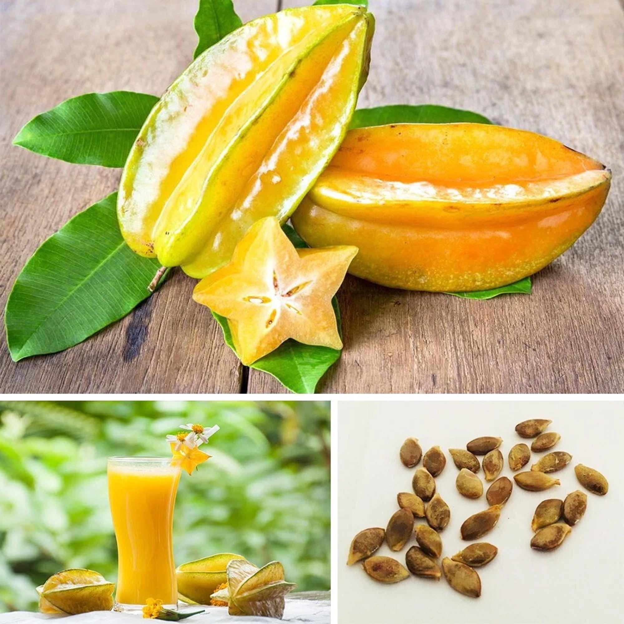 20 Star Fruit Seeds – Exotic Carambola Tree With Unique Star-shaped ...