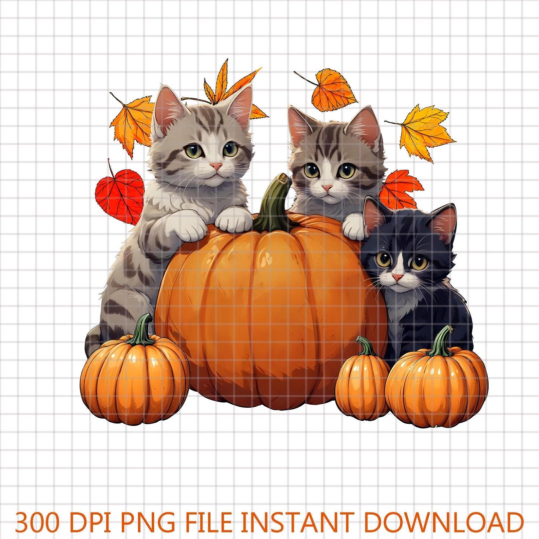 Fall Pumpkin Cat Lover Png, Cats Autumn Fall Png, Funny Thanksgiving ...