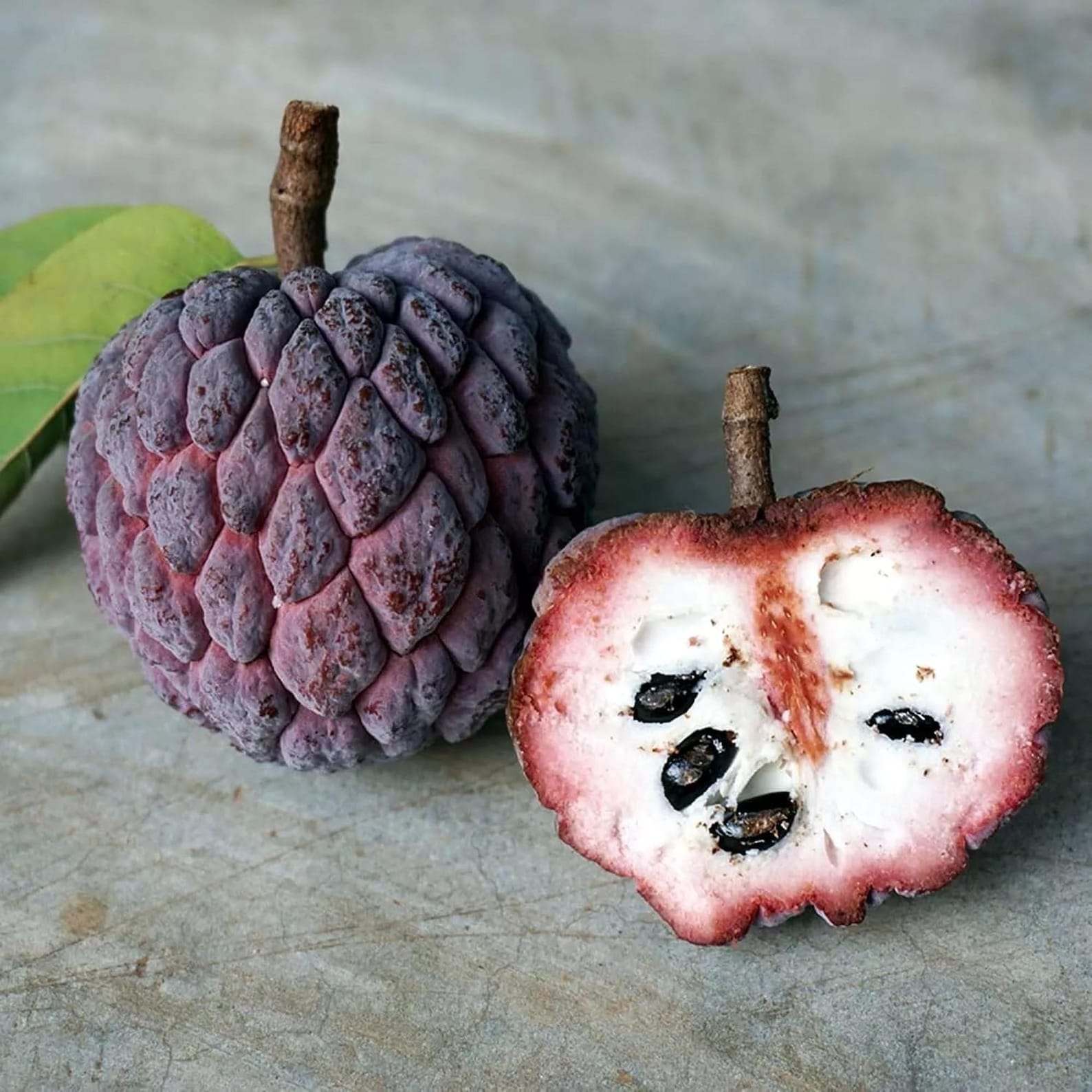 10+ Seeds | Thai Purple Sugar Apple Seeds – Tropical Fruit Tree, Sweet ...