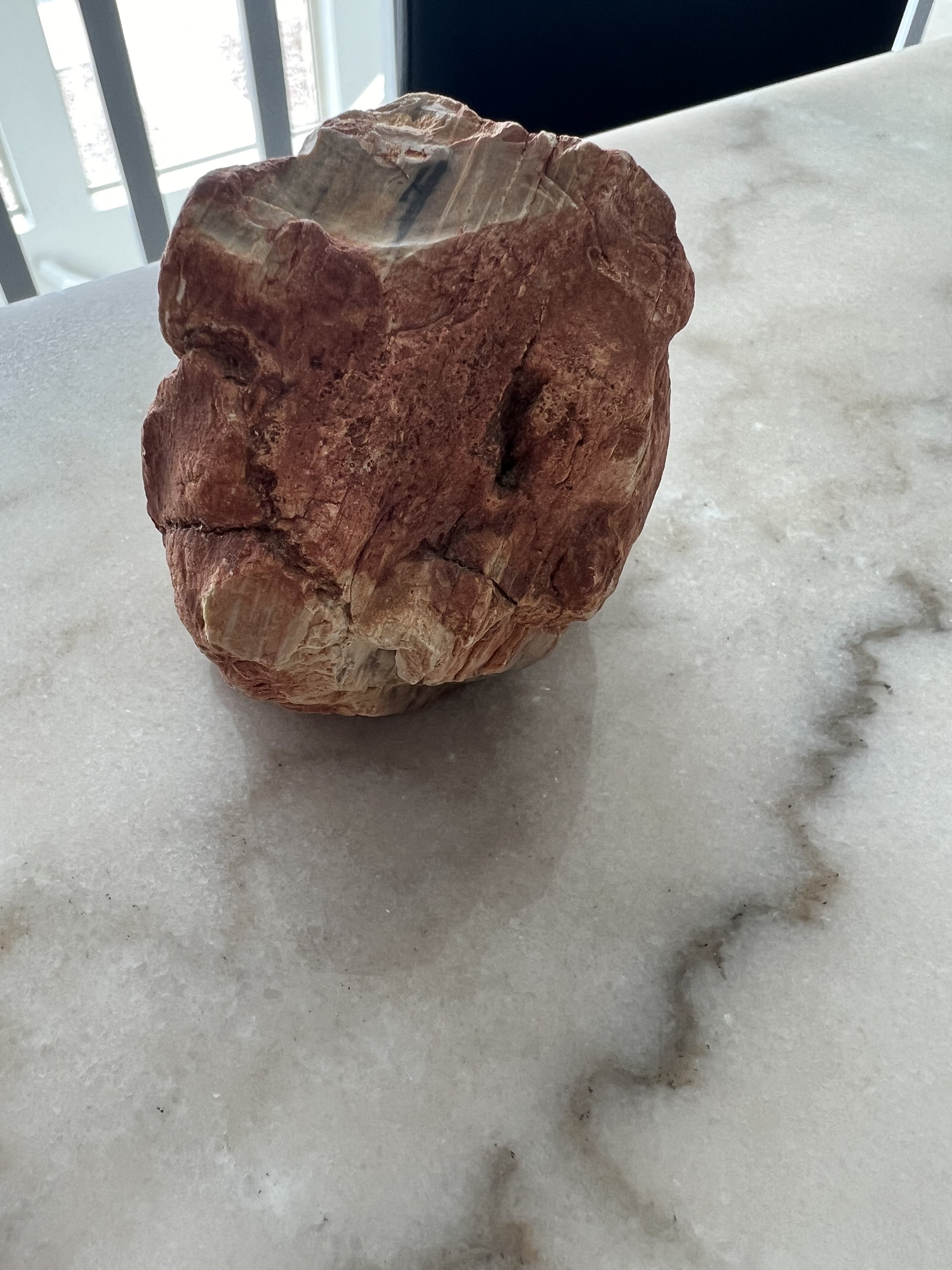 RARE Eden Valley, Wyoming Petrified Wood Round - Etsy