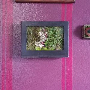 Moss Shadow Box Diorama. Features Gemstones With Sculpted Mushrooms and ...