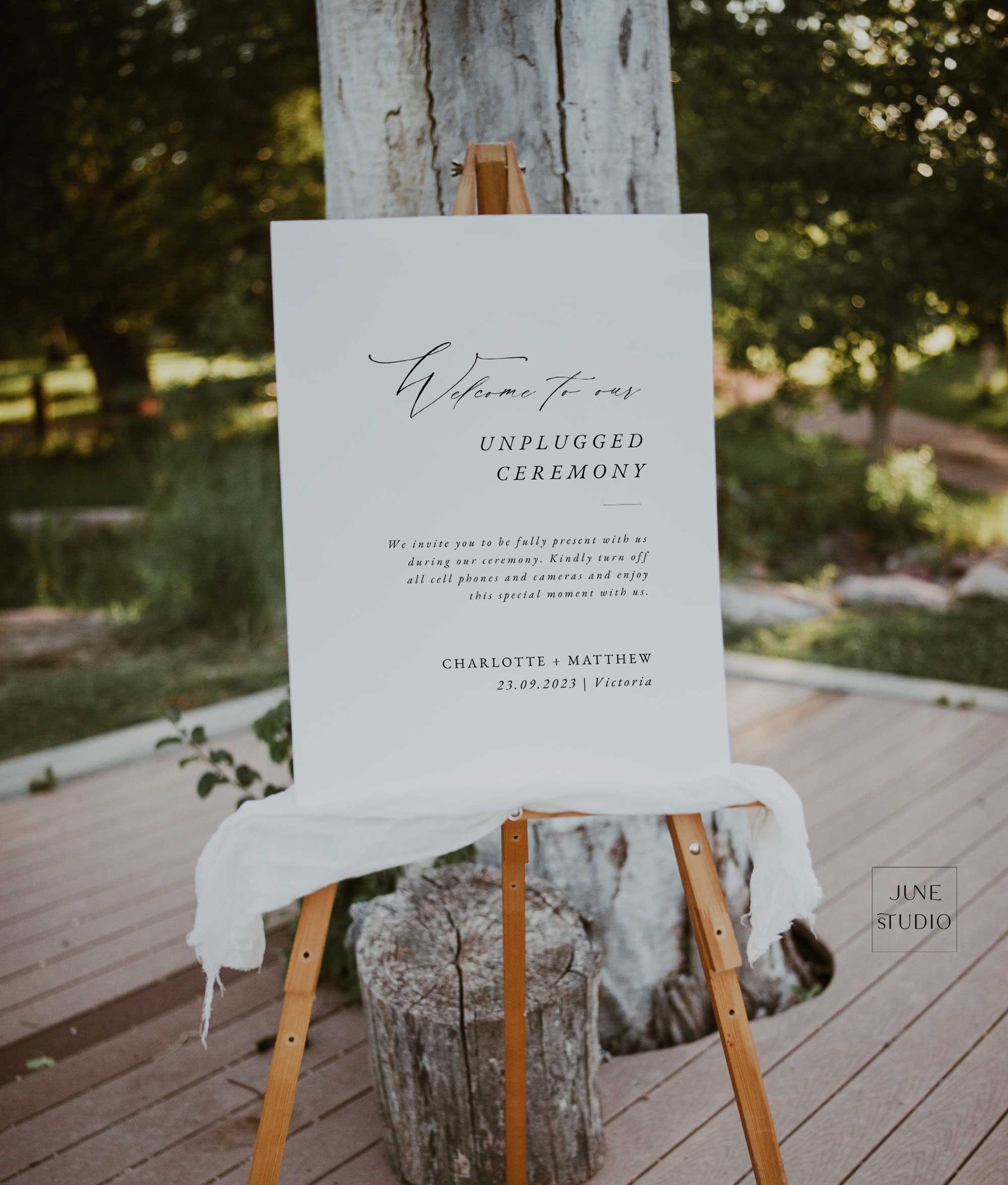 Modern Unplugged Ceremony Sign Template: Dainty Script, Timeless ...