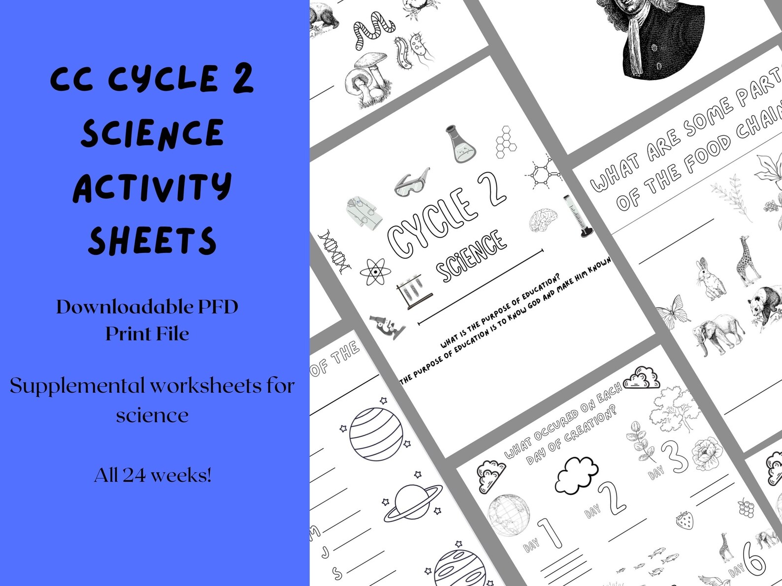 Classical Conversations Cycle 2 Science Coloring Pages - Etsy