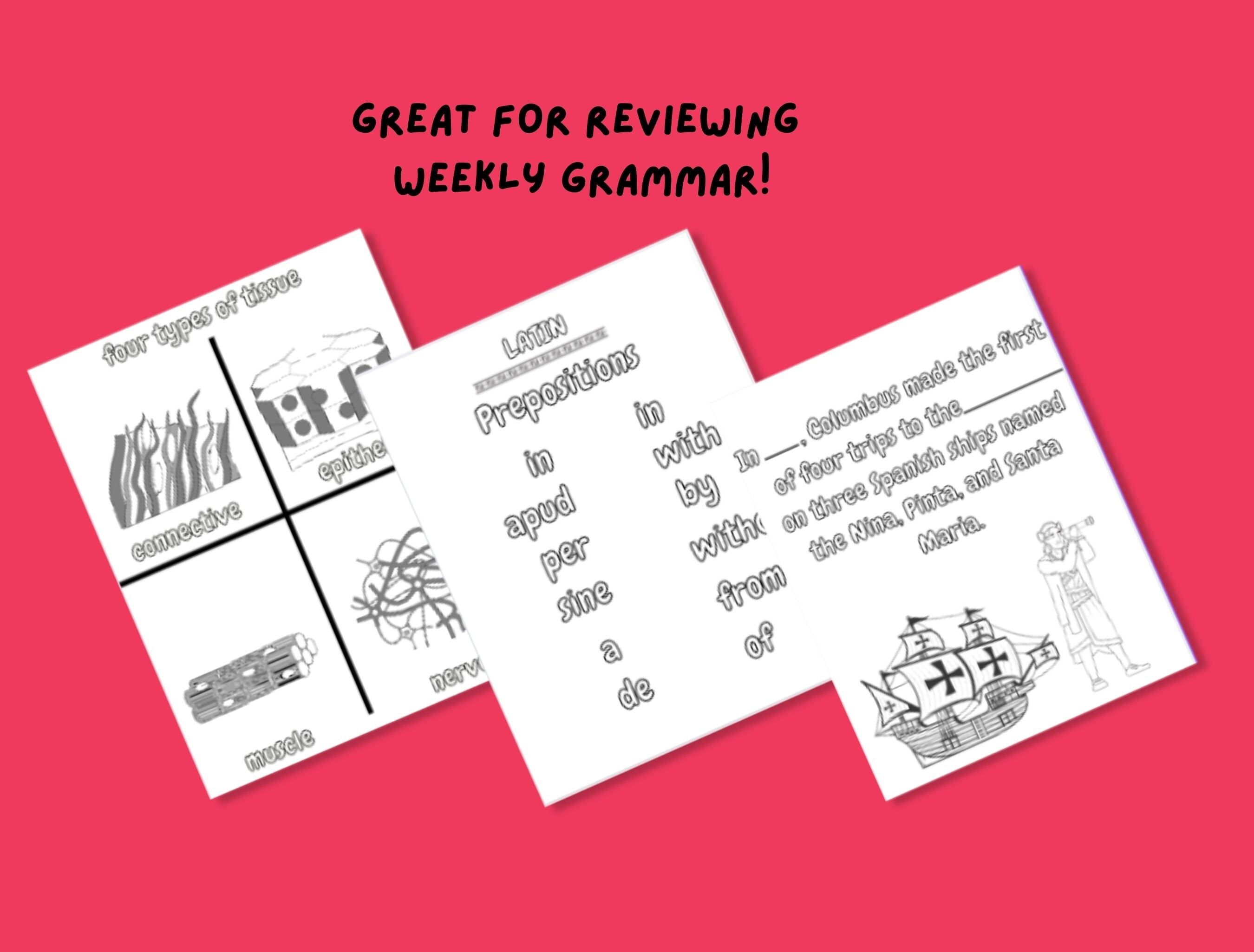 Classical Conversations Cycle 3 Complete Memory Work Activity Sheets ...