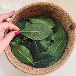 Large Bay Leaves: Organic Witchcraft Rituals, Love Spells - Etsy