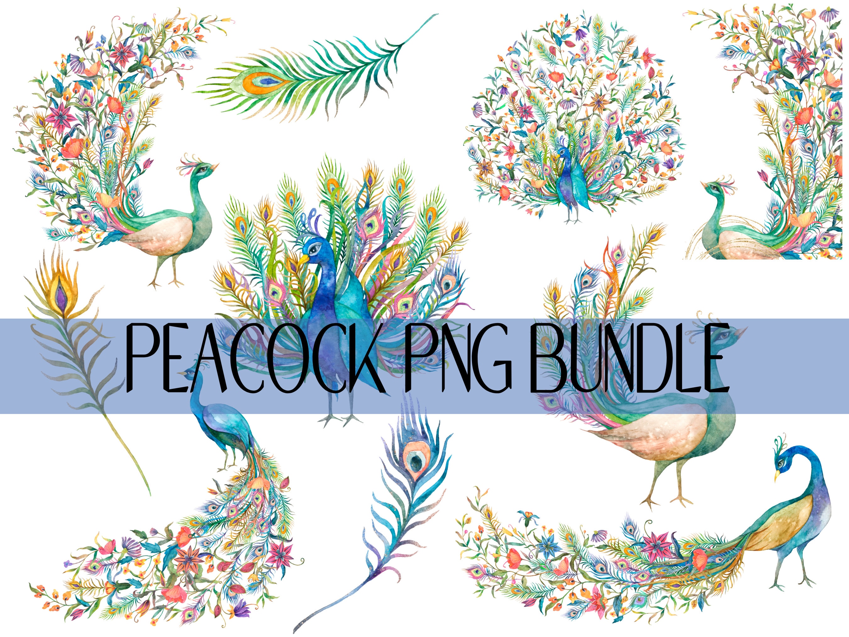 Peacock PNG Sublimation Bundle, Peacock Feathers PNG, Open Tail Peacock ...