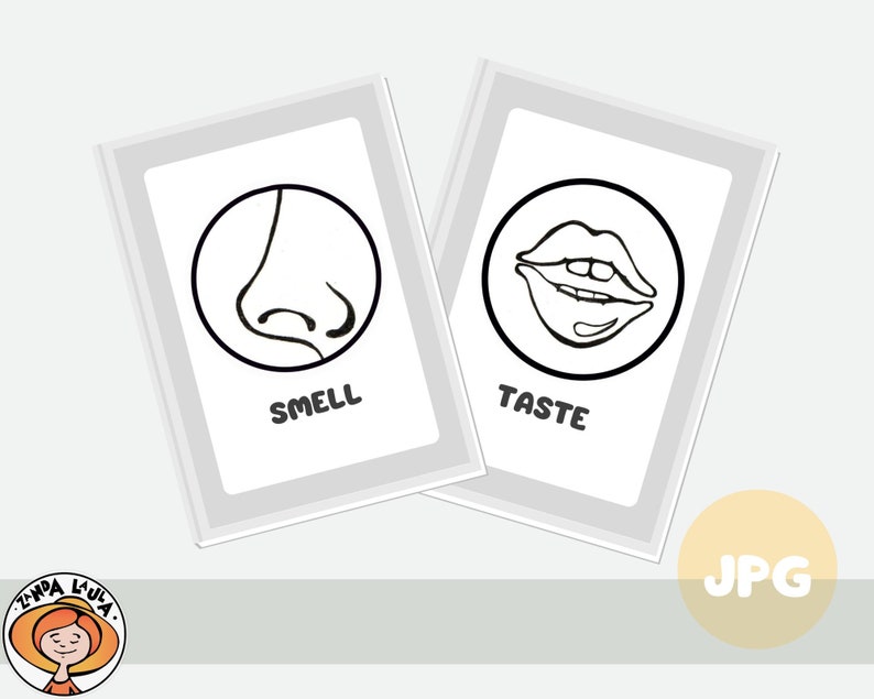 Five Senses Activity Printable: Homeschool Coloring Pages (PDF) - Etsy