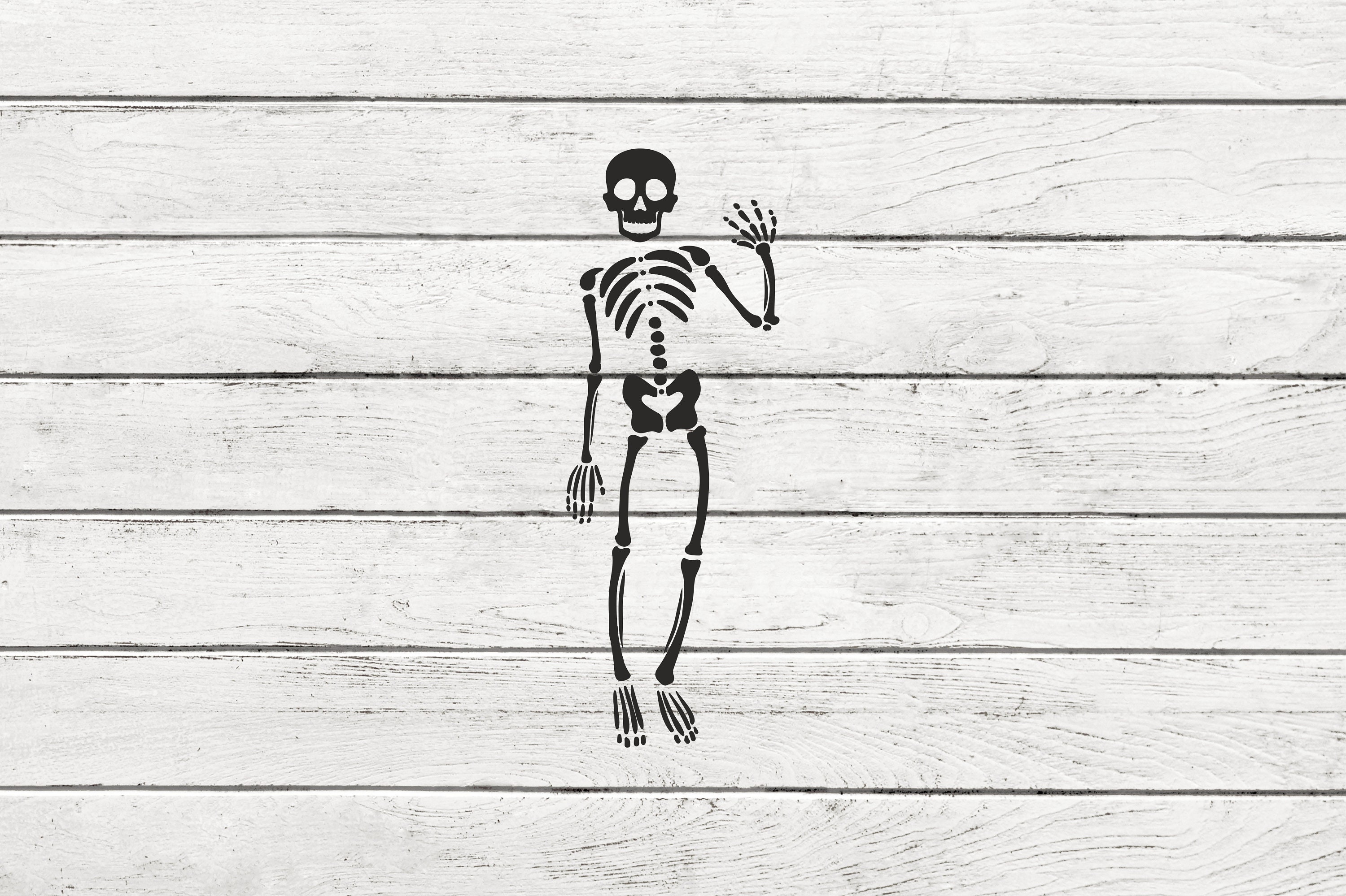 Skeleton SVG PNG PDF, Halloween Svg, Skeletons, Skeleton Svg, T-shirt ...